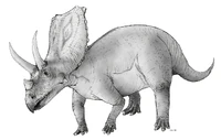 Chasmosaurus | Fossil Wiki | Fandom