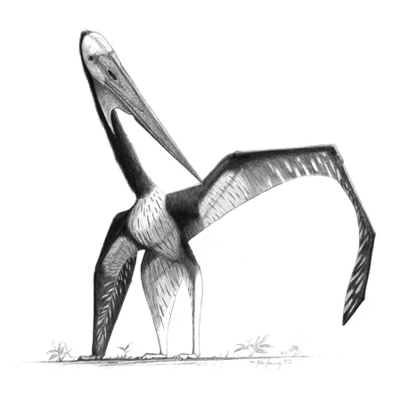 Zhejiangopterus | Fossil Wiki | Fandom