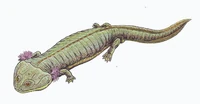 List of prehistoric amphibians | Fossil Wiki | Fandom