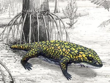 Fedexia | Fossil Wiki | Fandom