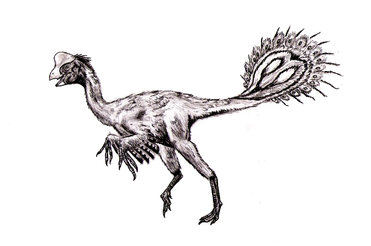 Nomingia | Fossil Wiki | Fandom
