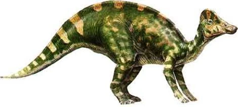 Hypacrosaurus | Fossil Wiki | Fandom