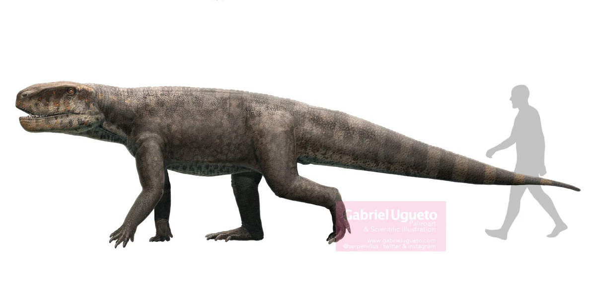 prestosuchus size
