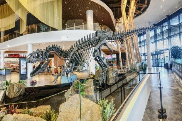 Big Sara | Fossil Wiki | Fandom