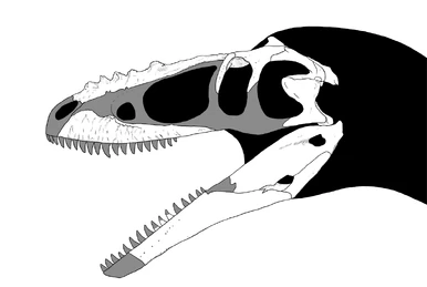 nanuqsaurus skull