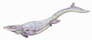 List of mosasaurs | Fossil Wiki | Fandom