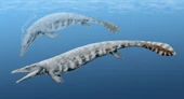 List of mosasaurs | Fossil Wiki | Fandom