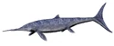 List of ichthyosaurs | Fossil Wiki | Fandom