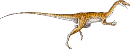 Coelophysoidea | Fossil Wiki | Fandom