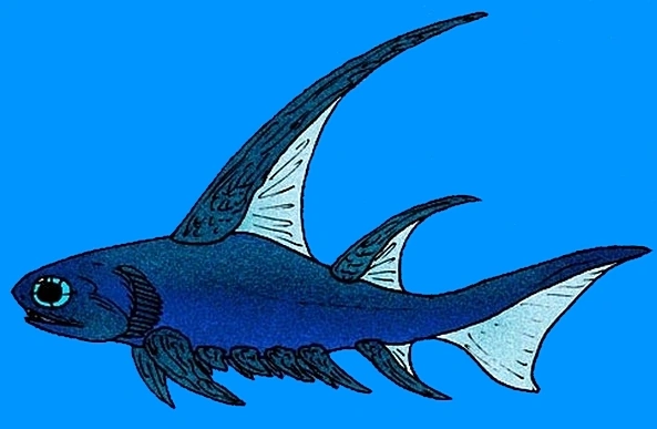 Parexus | Fossil Wiki | Fandom