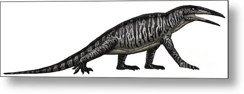 Teraterpeton | Fossil Wiki | Fandom