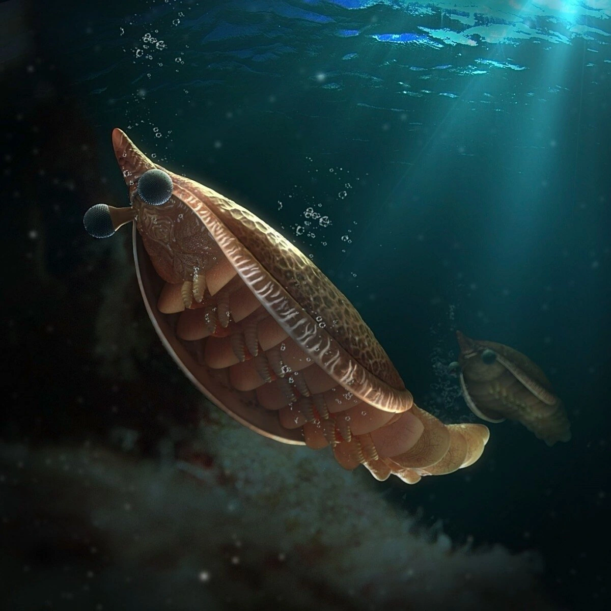 Erratus | Fossil Wiki | Fandom