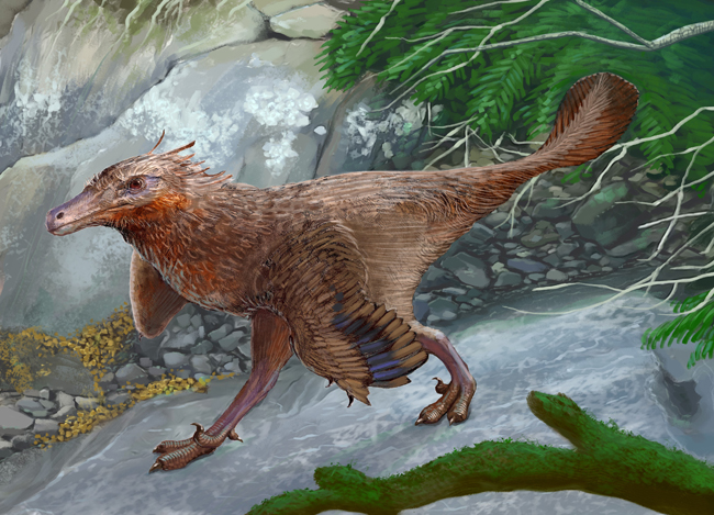 Diuqin Fossil Wiki Fandom