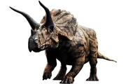 Triceratops | Wiki Dinosaurios y Prehistoria | Fandom