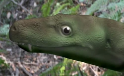 Aelurosaurus | Fossil Wiki | Fandom