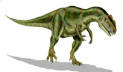 Species of Allosaurus | Fossil Wiki | Fandom