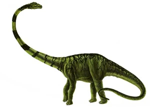 Barosaurus | Fossil Wiki | Fandom