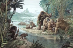 gigantopithecus skeleton fossil
