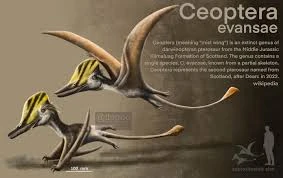 Ceoptera | Wiki Dinosaurios y Prehistoria | Fandom