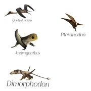 Pterosauria | Wiki Dinosaurios y Prehistoria | Fandom