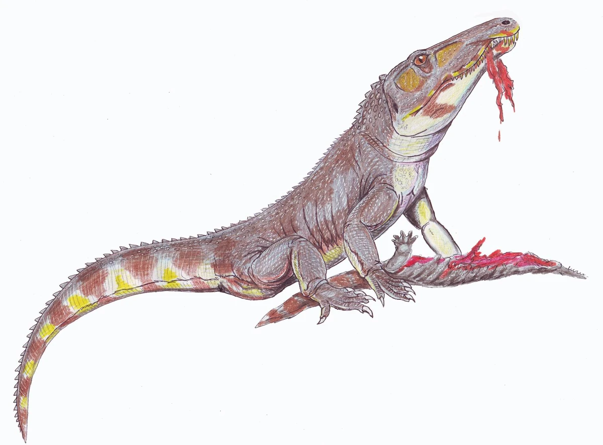 Ditrochosaurus | Fossil Wiki | Fandom
