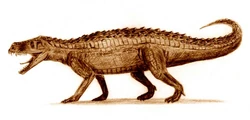 Prestosuchus | Fossil Wiki | Fandom