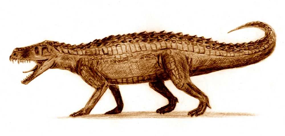 Prestosuchus