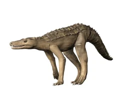 Hallopus | Fossil Wiki | Fandom