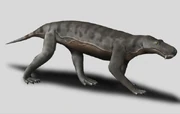 Gorgonops | Fossil Wiki | Fandom