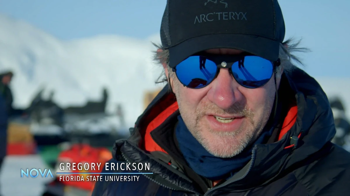 Gregory Erickson | Fossil Wiki | Fandom
