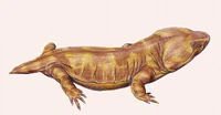List of prehistoric amphibians | Fossil Wiki | Fandom