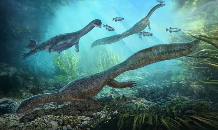 Hyphalosaurus | Wiki Dinosaurios y Prehistoria | Fandom