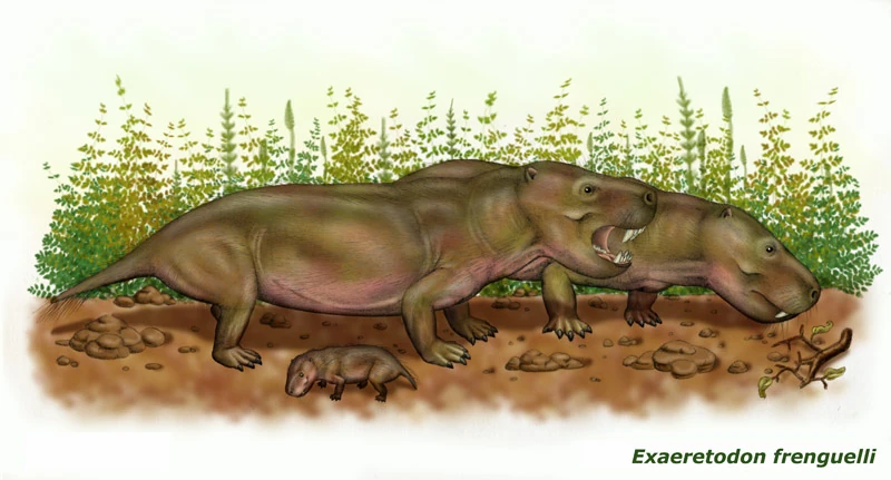 Exaeretodon | Fossil Wiki | Fandom
