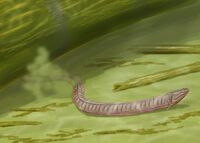 List of prehistoric amphibians | Fossil Wiki | Fandom