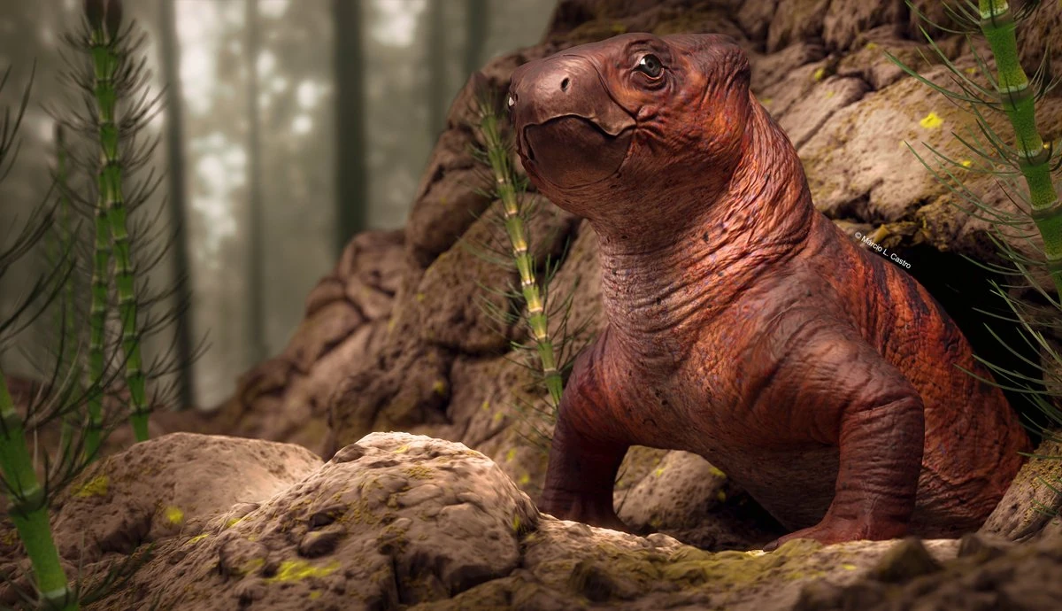 Rastodon | Fossil Wiki | Fandom