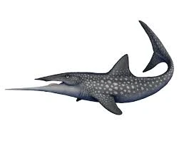 Ornithoprion | Fossil Wiki | Fandom