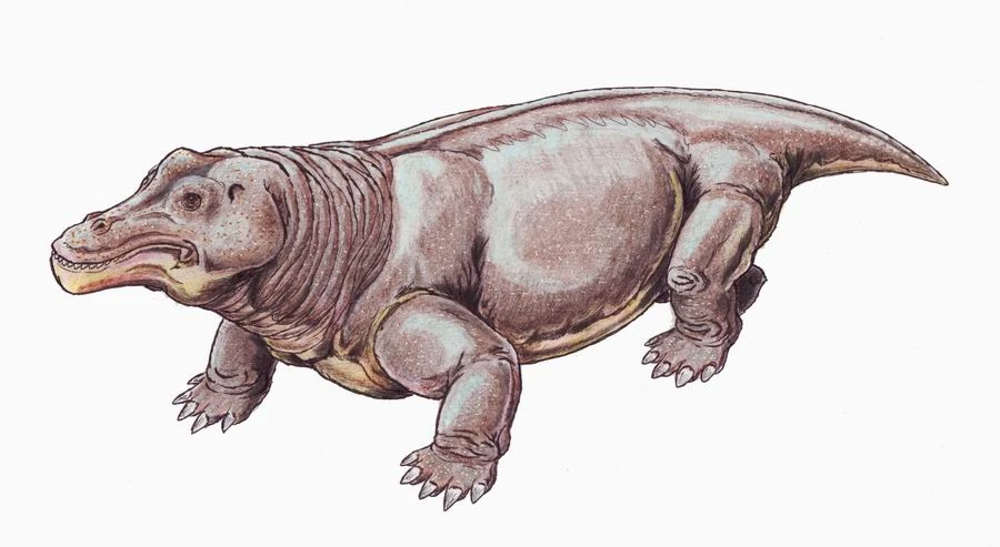 Struthiocephalus | Fossil Wiki | Fandom