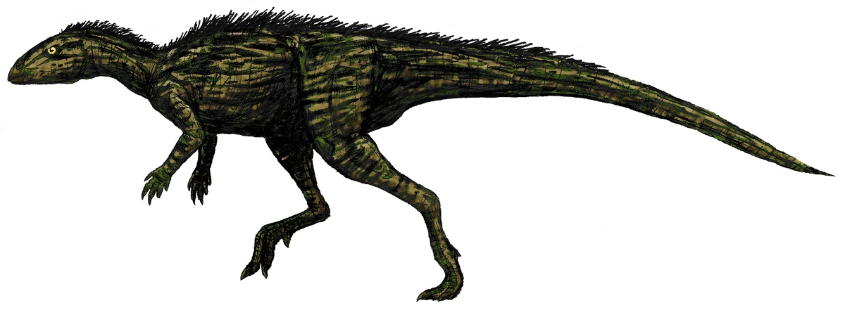 Oryctodromeus | Fossil Wiki | Fandom