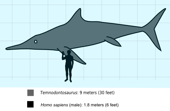 Temnodontosaurus | Fossil Wiki | Fandom