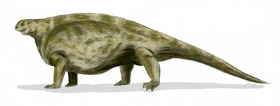 Caseidae | Fossil Wiki | Fandom