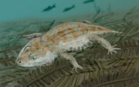 List of prehistoric amphibians | Fossil Wiki | Fandom