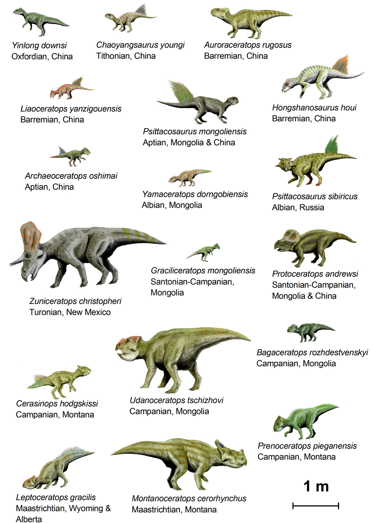 Evolution | Fossil Wiki | Fandom