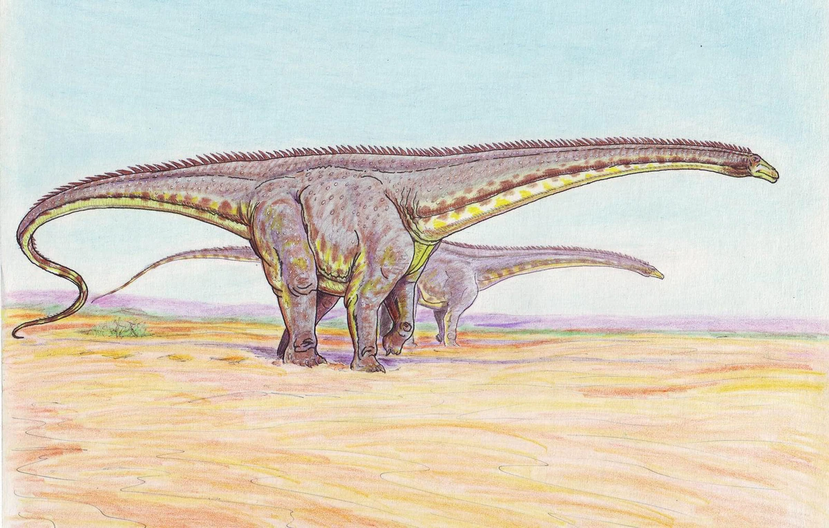 Hypselosaurus | Fossil Wiki | Fandom
