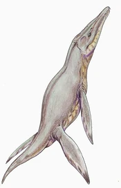 List of plesiosaur genera | Fossil Wiki | Fandom