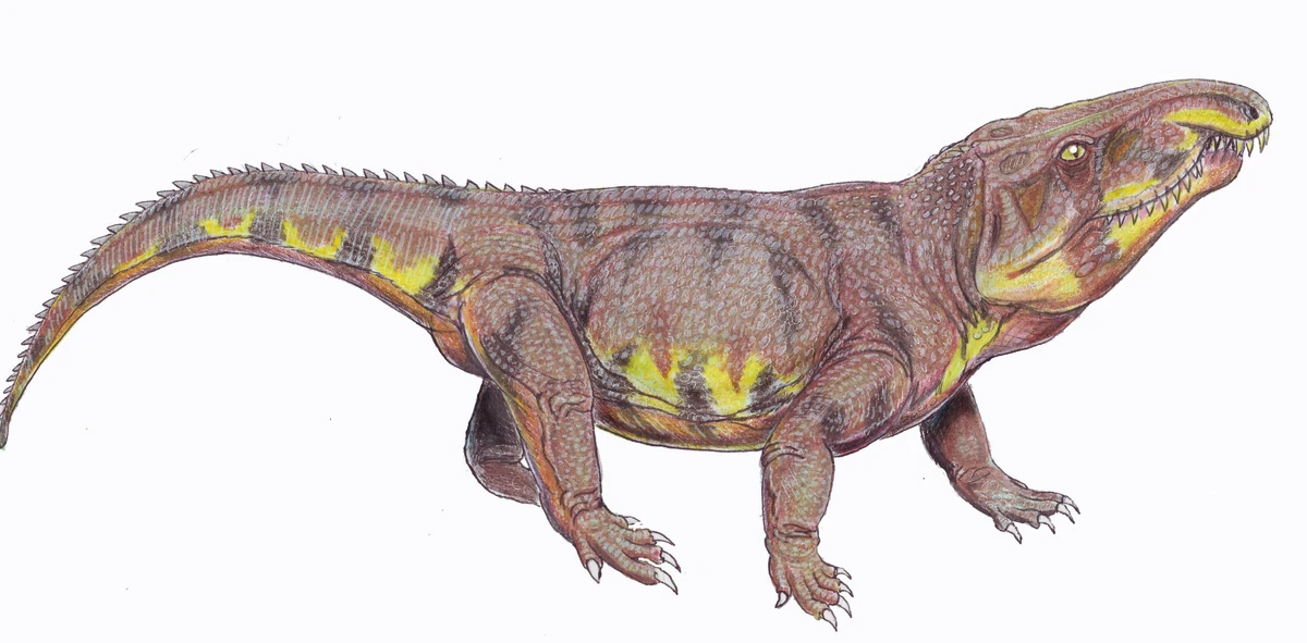 Erythrosuchidae | Fossil Wiki | Fandom
