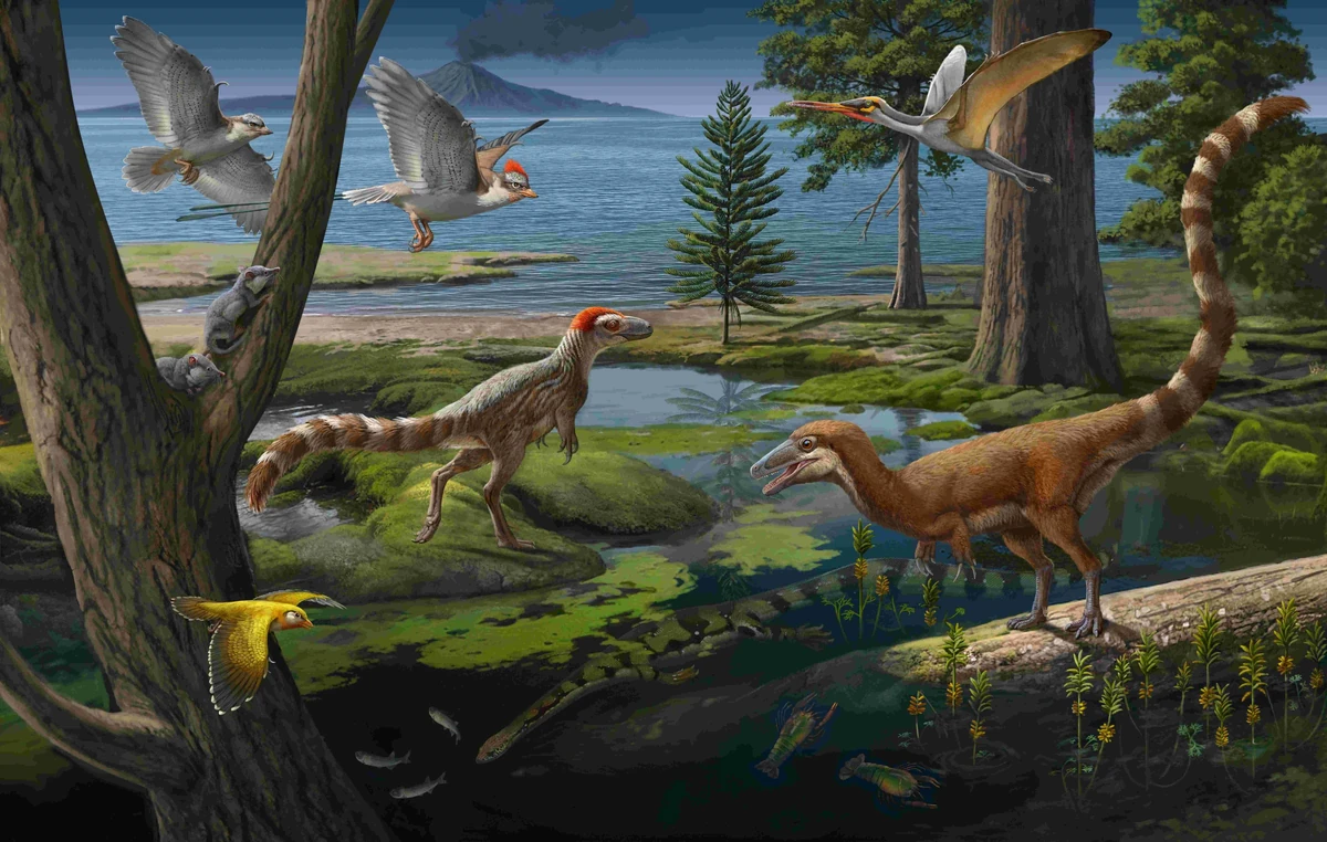 Sinosauropteryx | Fossil Wiki | Fandom