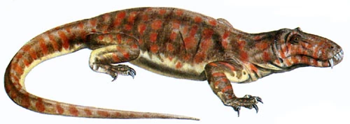 Titanosuchus | Fossil Wiki | Fandom