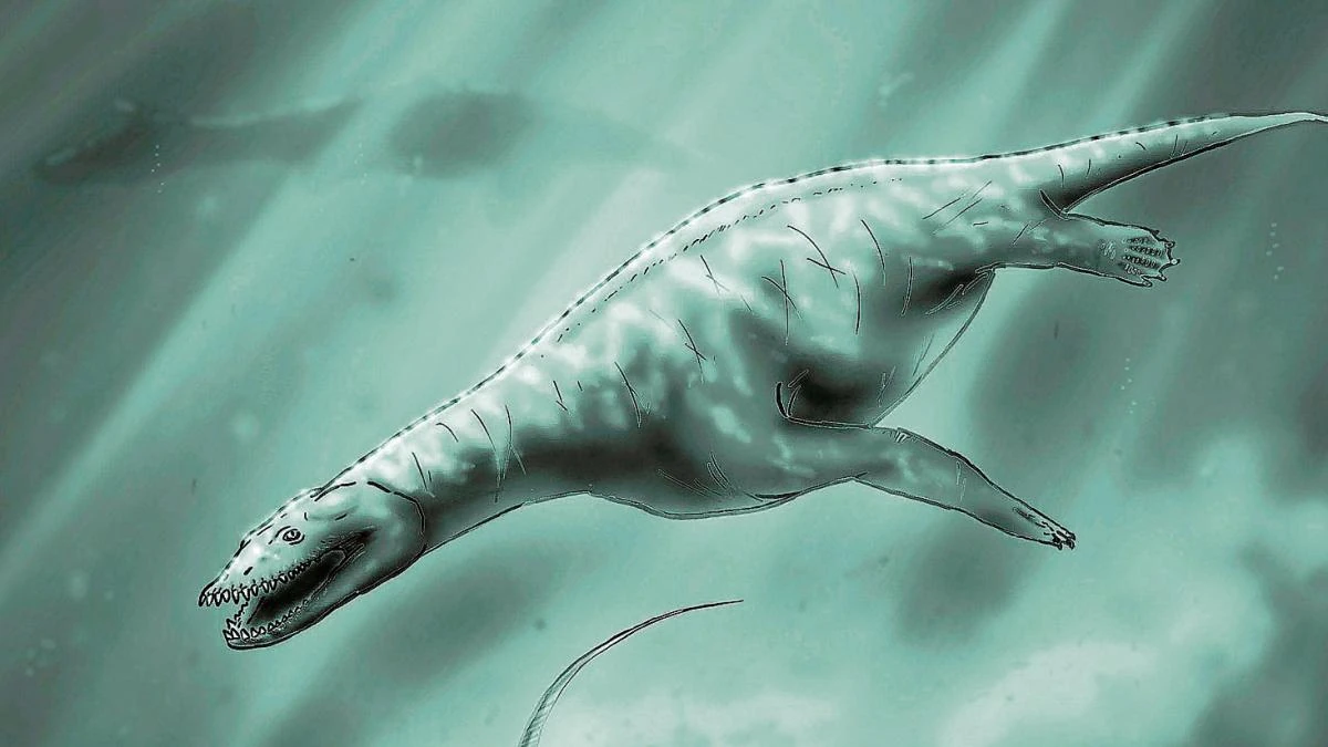 Simosaurus | Fossil Wiki | Fandom