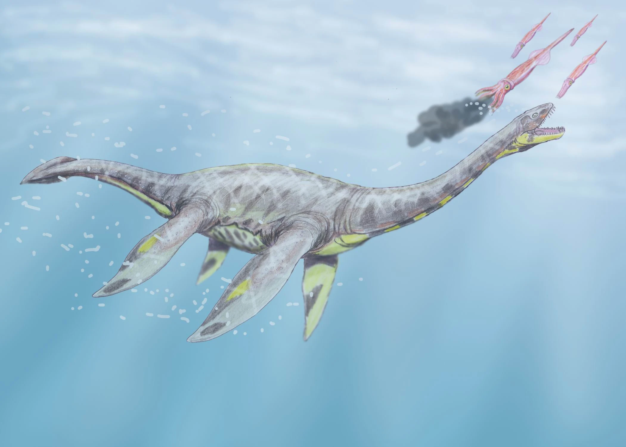 Seeleyosaurus | Fossil Wiki | Fandom