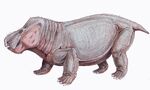 Dicynodontia | Fossil Wiki | Fandom